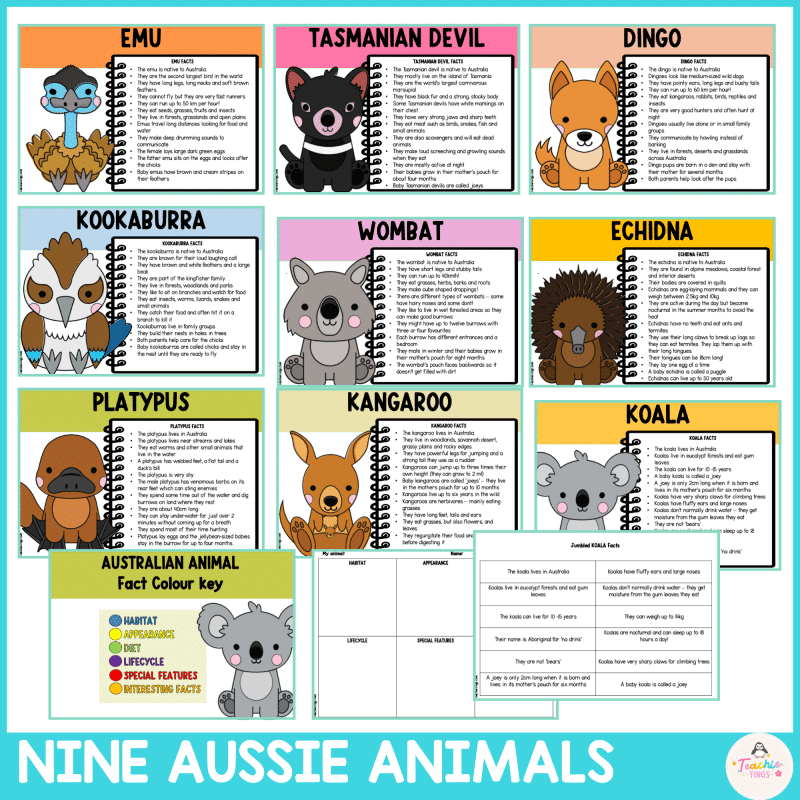 Australian Animals Information Posters and Sorting Activities – Teachie ...