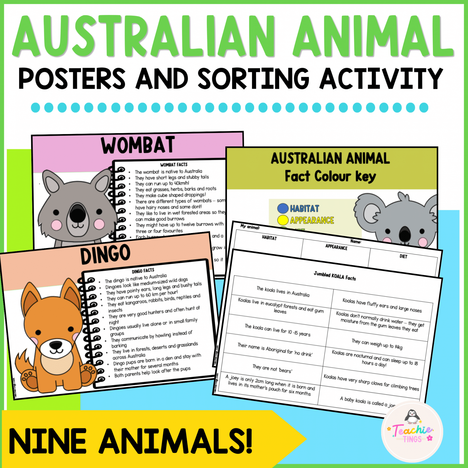 Australian Animal Information Report Pack – Teachie Tings – Time-Saving ...