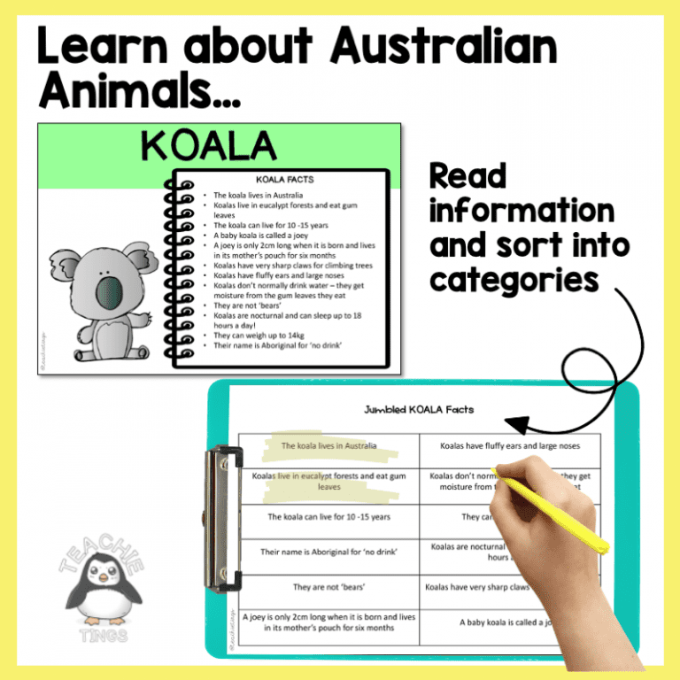 Australian Animals Information Posters And Sorting Activities — Teachie ...