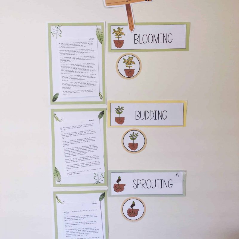 Bump It Up Wall Display - Simple, Boho Shades — Teachie Tings