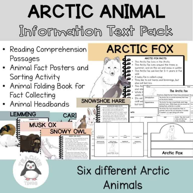 Arctic Animal Information Report Pack — Teachie Tings
