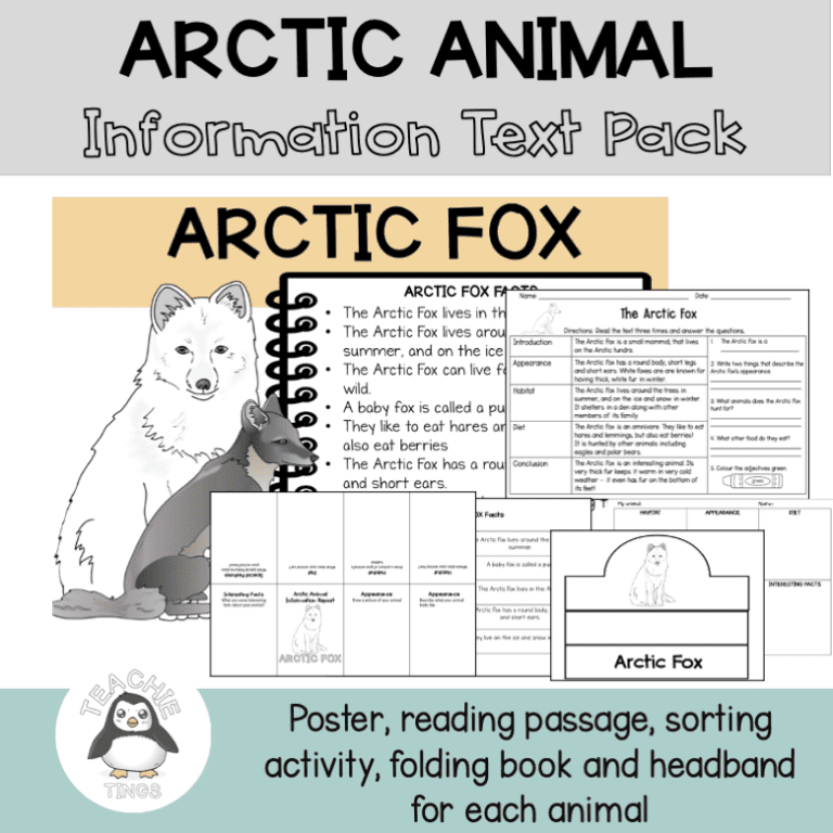 Arctic Animal Information Report Pack – Teachie Tings – Time-Saving ...