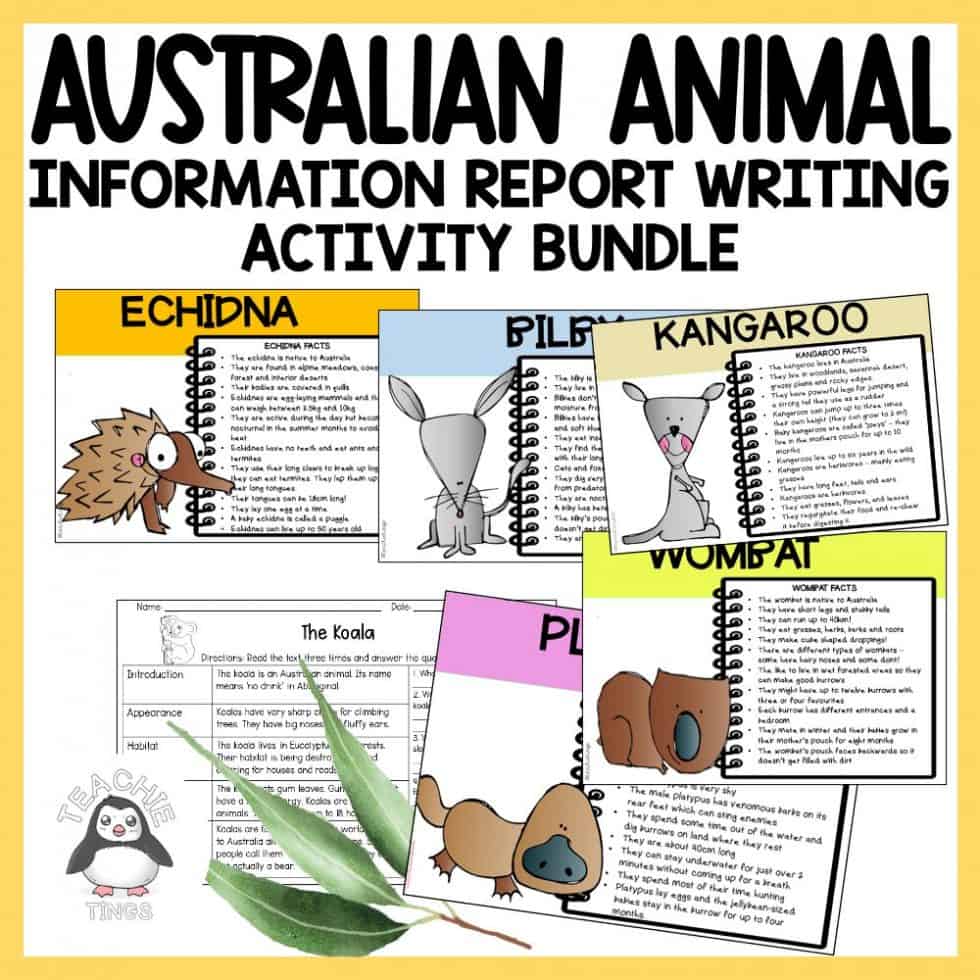 Rich text recommendations for Australian Animals — Teachie Tings