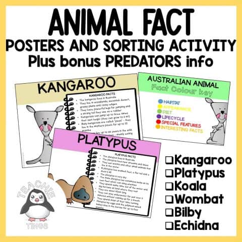 Australian Animal Information Report Pack – Teachie Tings – Time-Saving ...