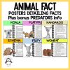 Australian Animal Information Report Pack — Teachie Tings