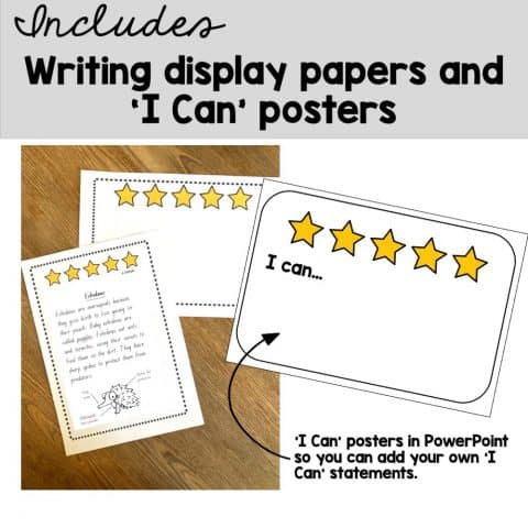 Year 3 Persuasive Writing Exemplars - Bump It Up Wall — Teachie Tings