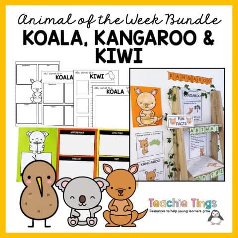 Animal of the Week Bundle: Koala, Kangaroo, Kiwi – Teachie Tings