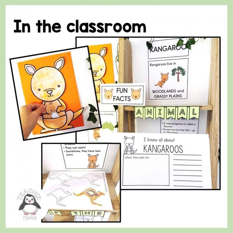 Information Report Pack KANGAROO – Teachie Tings