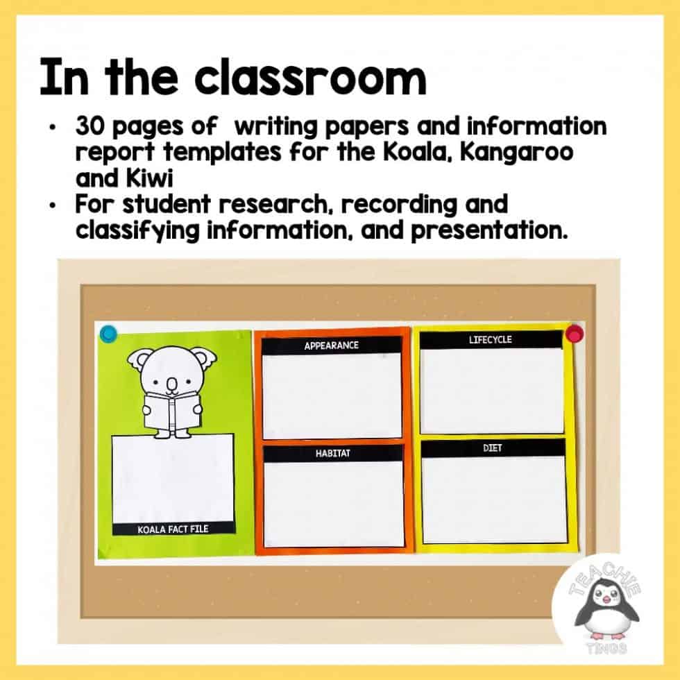 Information Report Writing Papers – Koala, Kangaroo and Kiwi – Teachie ...