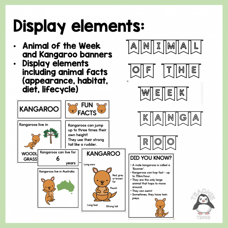 Information Report Pack KANGAROO – Teachie Tings