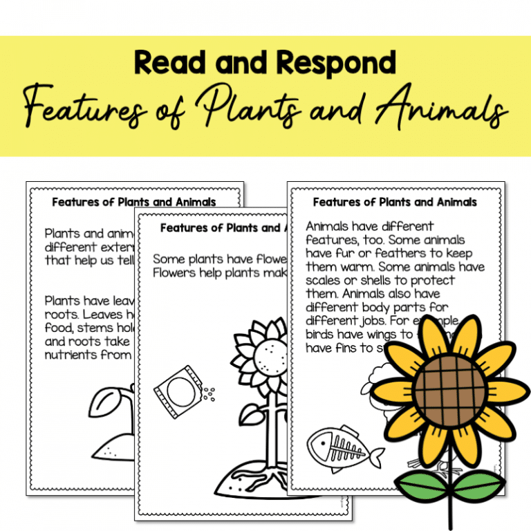 Prep/Foundation Science – Features of Plants and Animals | Read and ...
