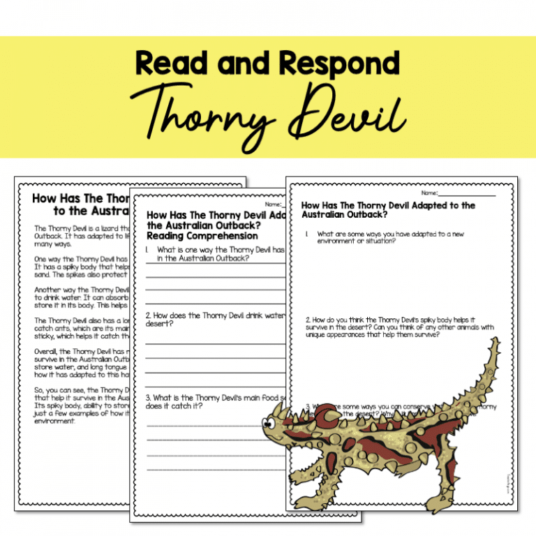 Year 2 Science - Thorny Devil | Read And Respond — Teachie Tings