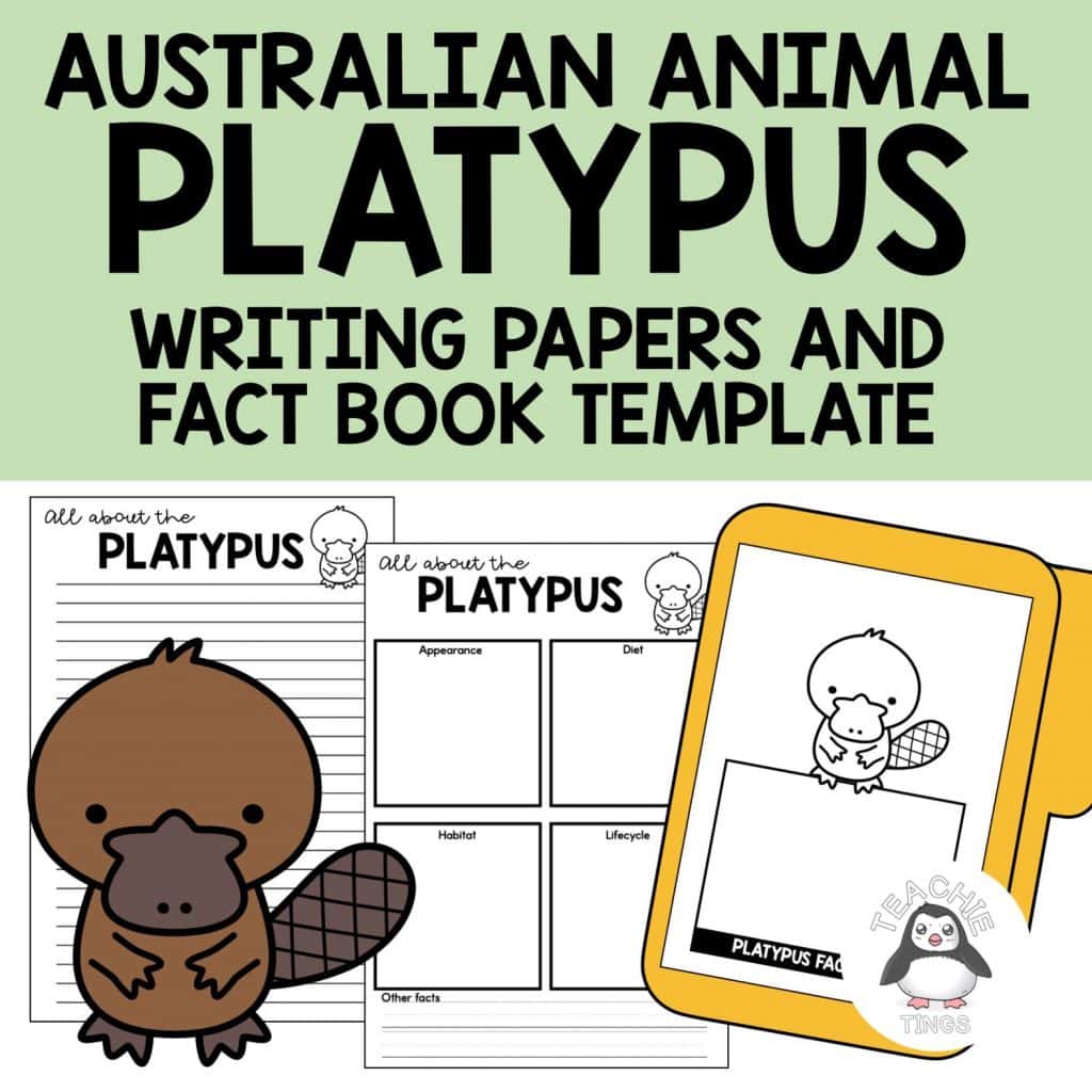 Australian Animal Information Report – Platypus – Teachie Tings – Time ...