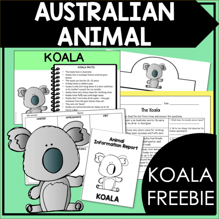 Australian Animal Information Report Writing Bundle FREEBIE Koala ...