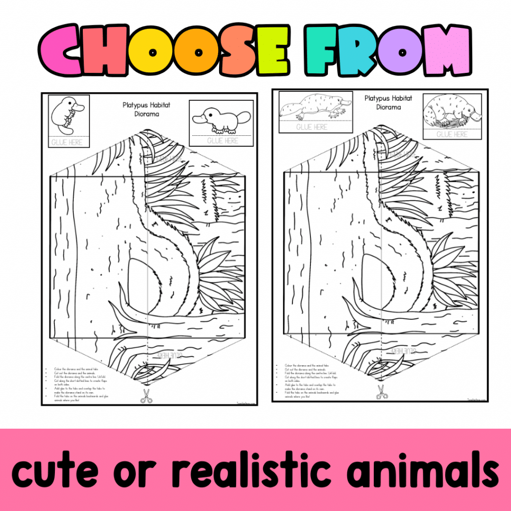Platypus Habitat Diorama | Printable Australian Animal Craft Activity ...