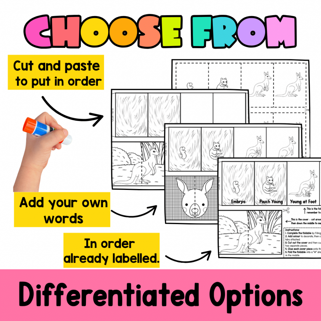 Kangaroo Life Cycle Craft Activity for Elementary Students – Teachie ...