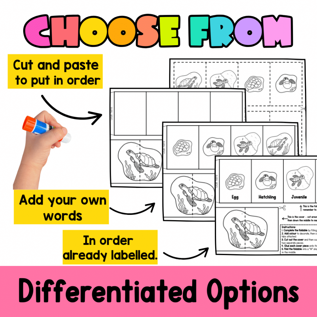 Sea Turtle Life Cycle Craft Activity for Elementary Students – Teachie ...