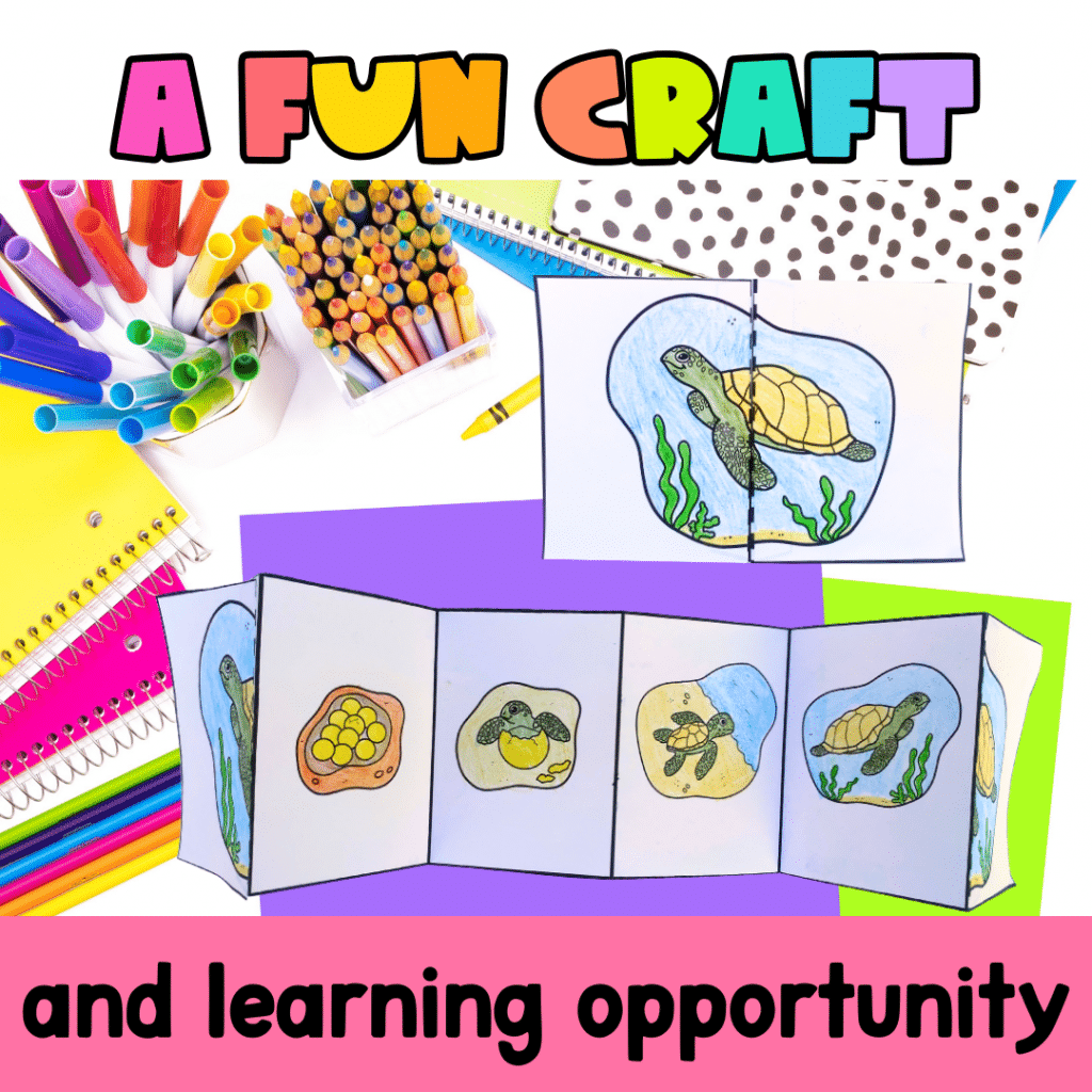 Sea Turtle Life Cycle Craft Activity for Elementary Students – Teachie ...