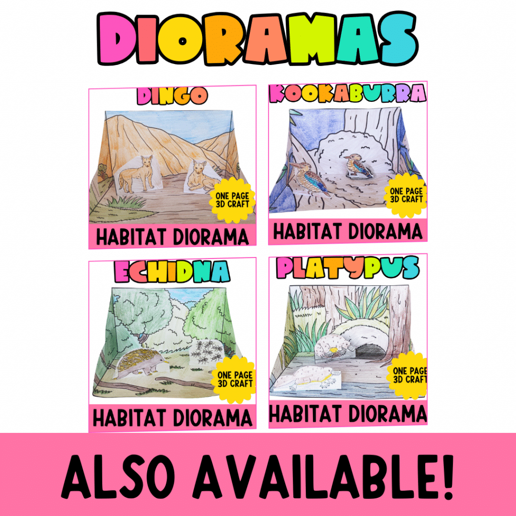 Kangaroo Life Cycle Craft Activity for Elementary Students – Teachie ...